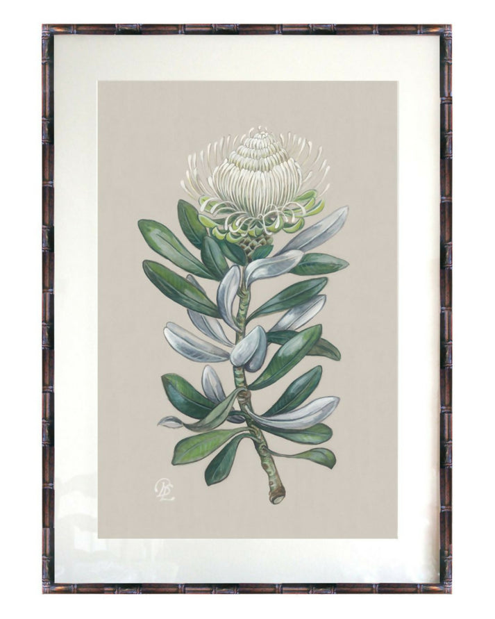 Bethany Linz x Veranda House Print and Frame – Antiquely